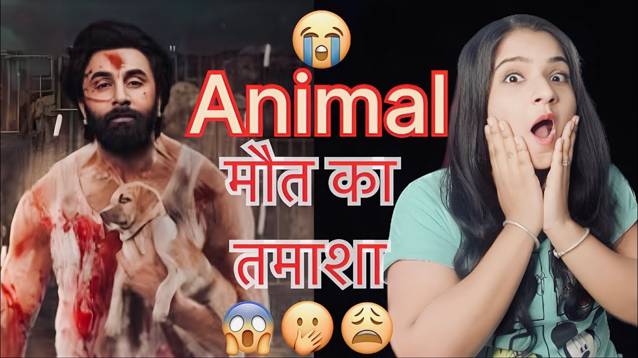 Animal Teaser Announcement Reaction | Maya Dhangar - YouTube