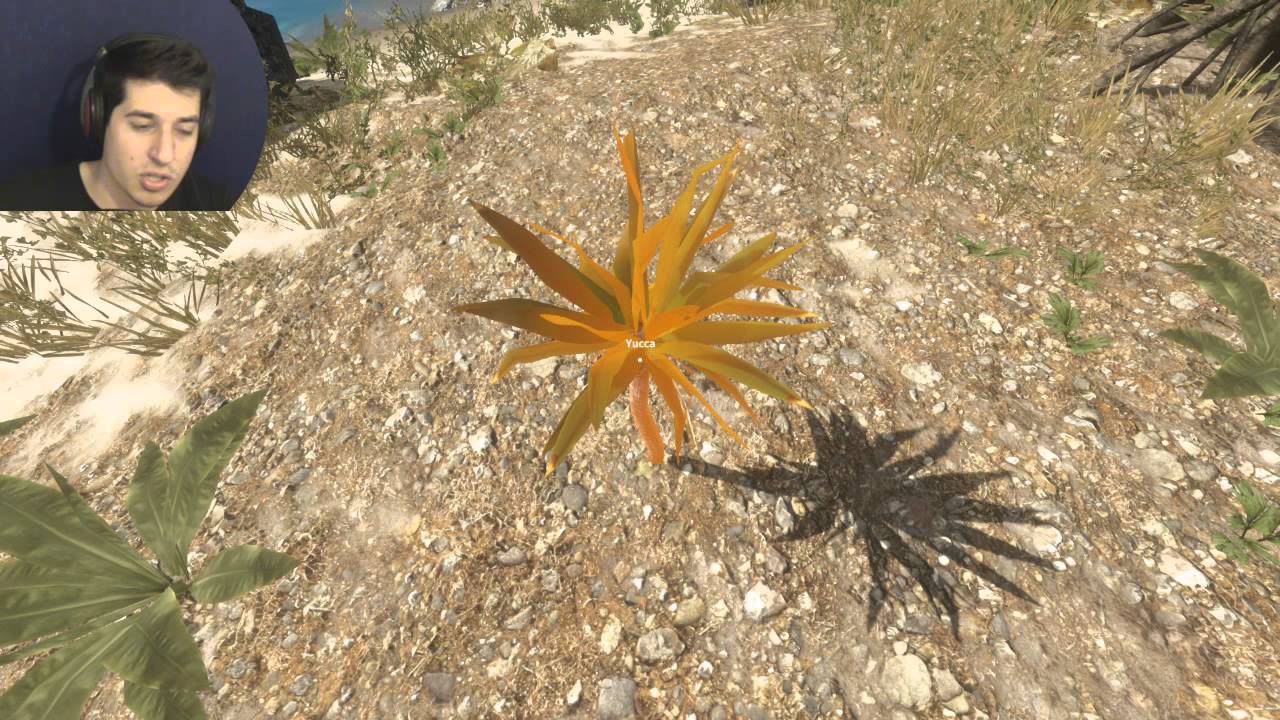 "ZBOGOM TIGER SHARK!!!"-Stranded Deep - YouTube