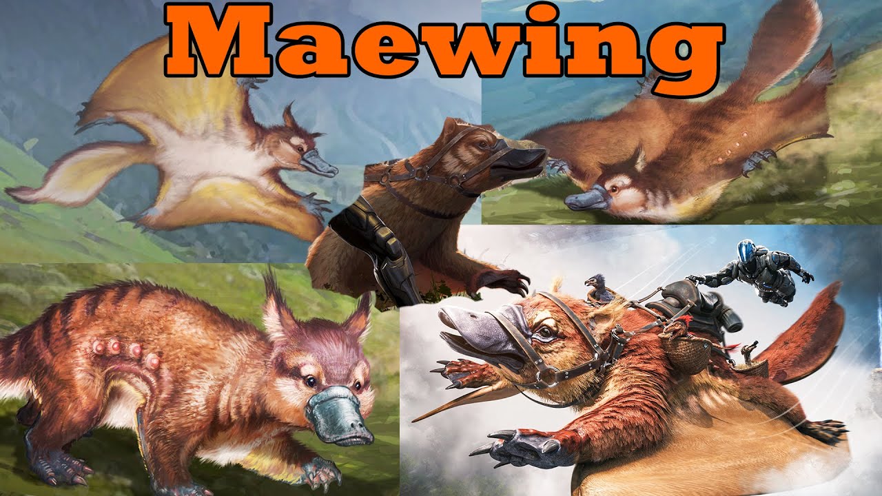 Ark's MAEWING looks EPIC - YouTube