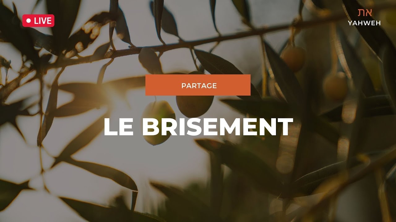 Partage | Le brisement - YouTube