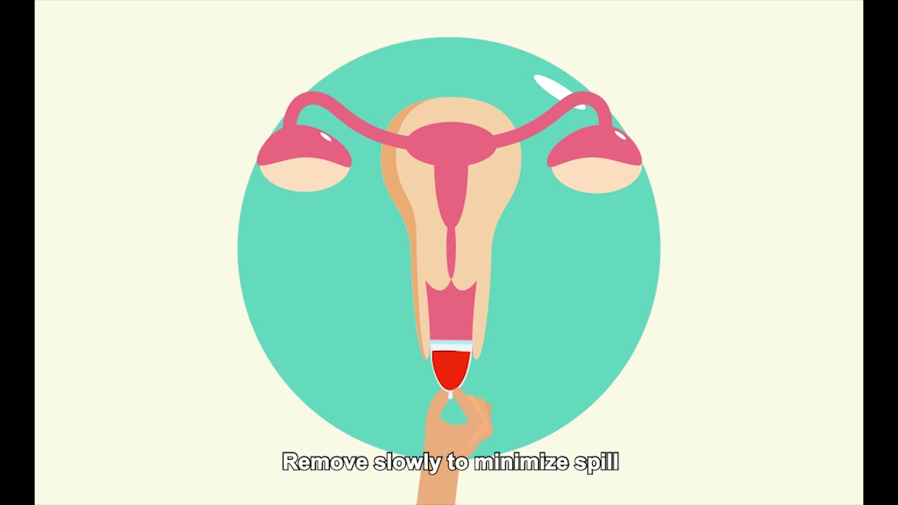 How to use Cherry Cup - Step-by-step Guidance of Menstrual Cup - YouTube