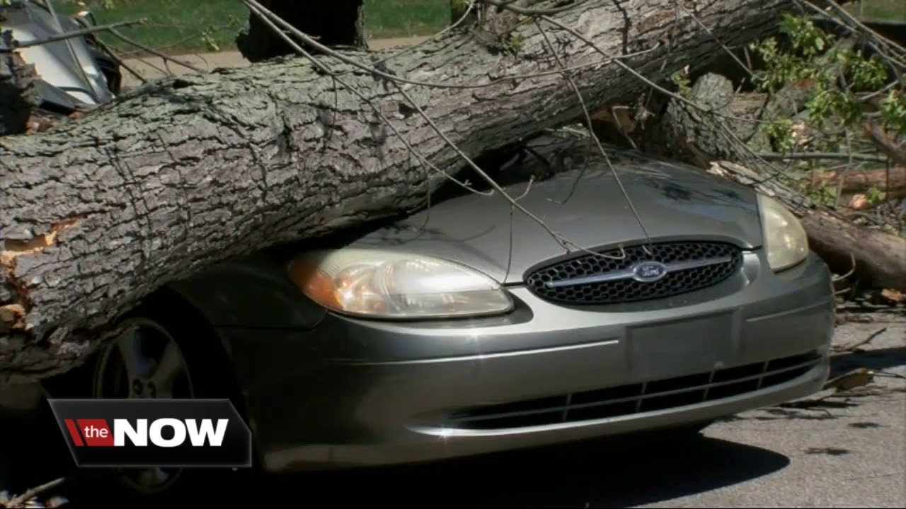 Tree falls on car in Dearborn, traps 81-year-old man - YouTube