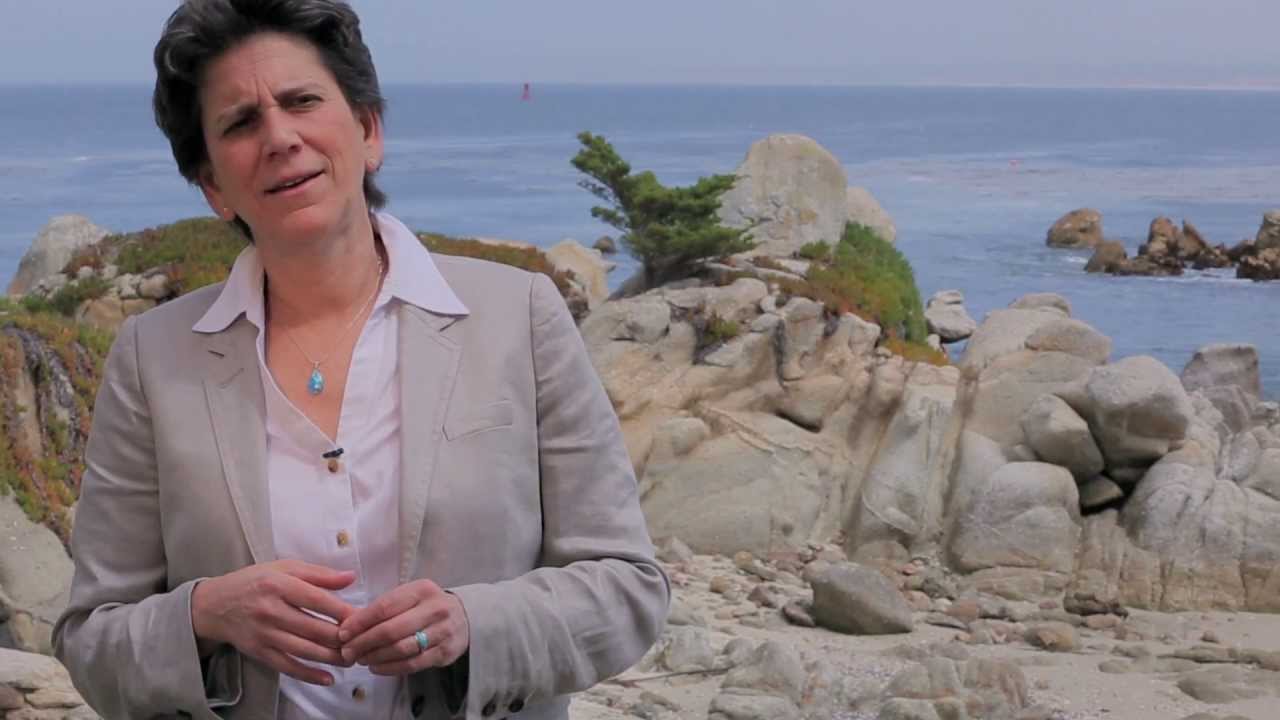 Barbara Block talks about the Wave Glider - YouTube