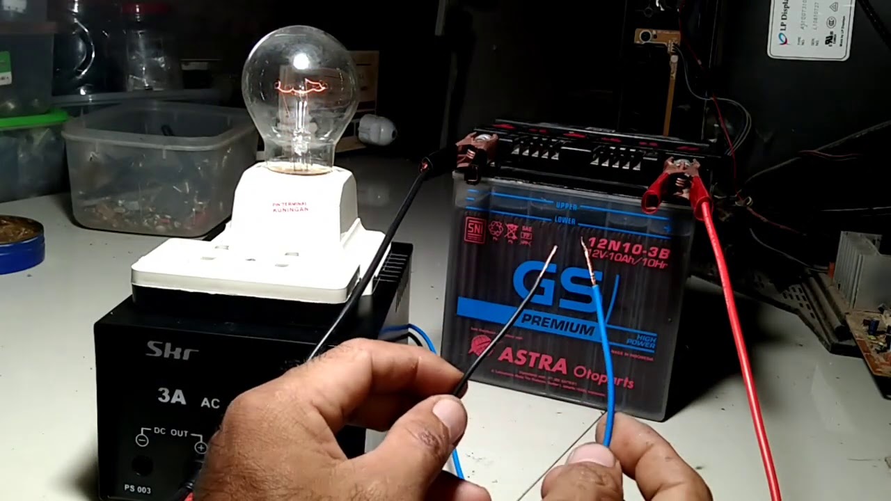 Alat strum babi//pengaman kebun - YouTube