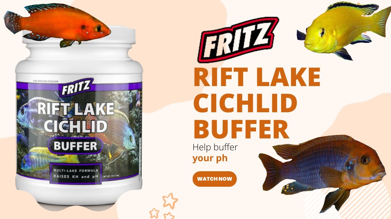 Fritz Rift Lake Cichlid Buffer: The Perfect Solution for Your Cichlid's ...