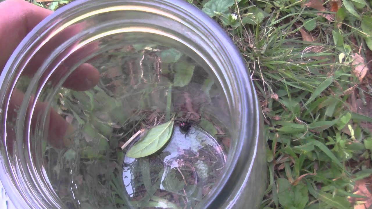 CAMPING SAFETY 101: CHECK YOUR GEAR FOR CRITTERS! - YouTube