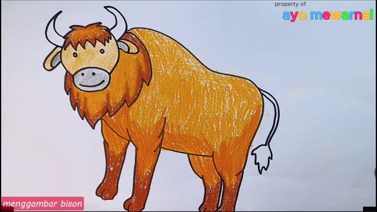 menggambar & mewarnai gambar bison | drawing & coloring a byson - YouTube