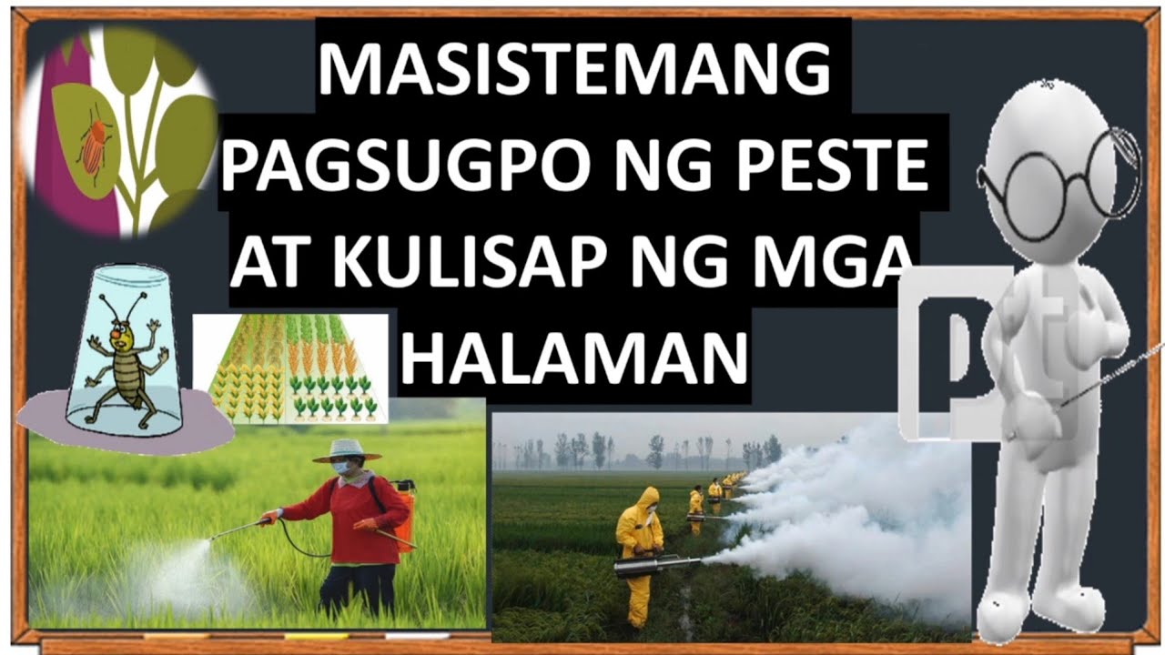 EPP 5/TLE 5 AGRI. MELC 3RD QTR. MASISTEMANG PAGSUGPO NG PESTE AT ...