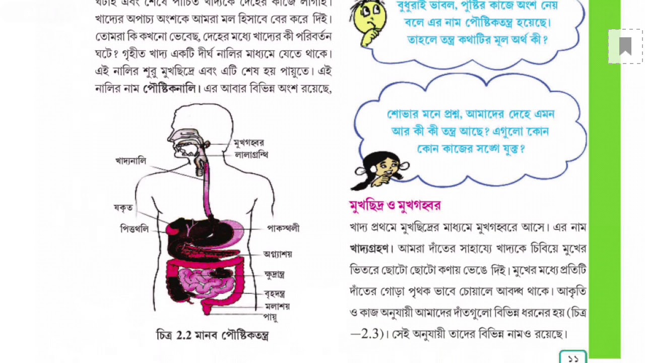 Class 7 Science Chapter 2 Part 1 YouTube class-7-science-chapter-2-part-1-youtube