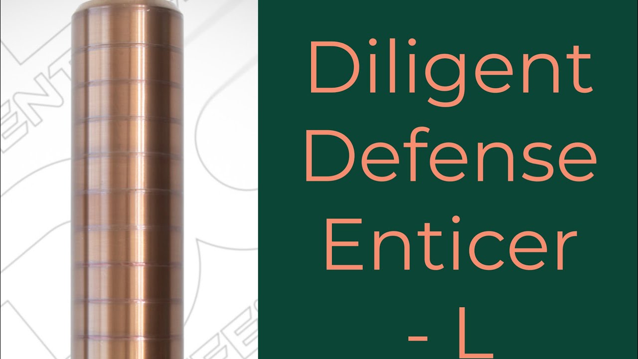 Diligent Defense Enticer - L , Tabletop review - YouTube