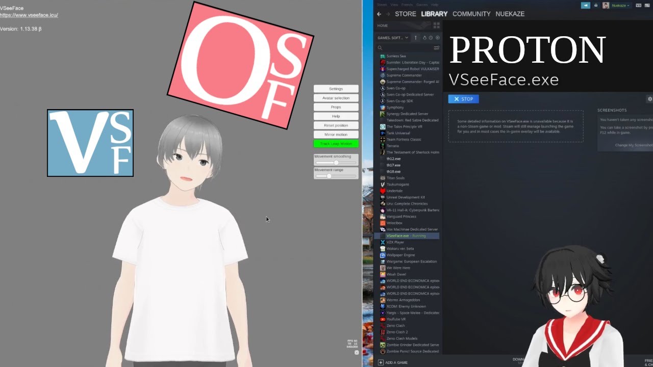 How to set up VSeeFace on GNU/Linux using Proton and OpenSeeFace - YouTube