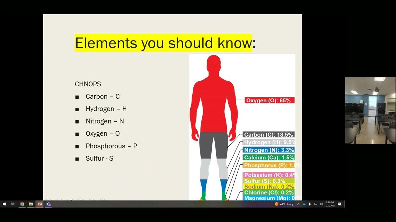 Chapter 2 lecture - YouTube