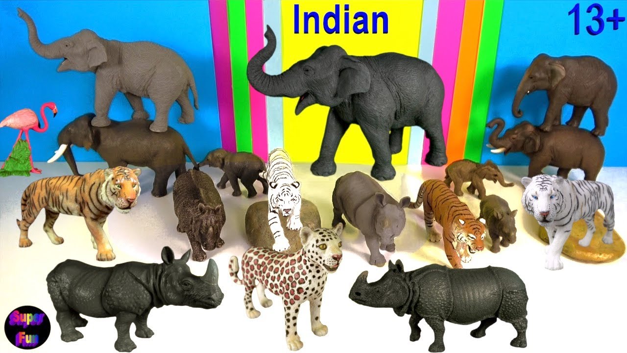 NEW Indian Animals - Asian Elephant, Bengal Tiger, Indian Rhino, Indian ...
