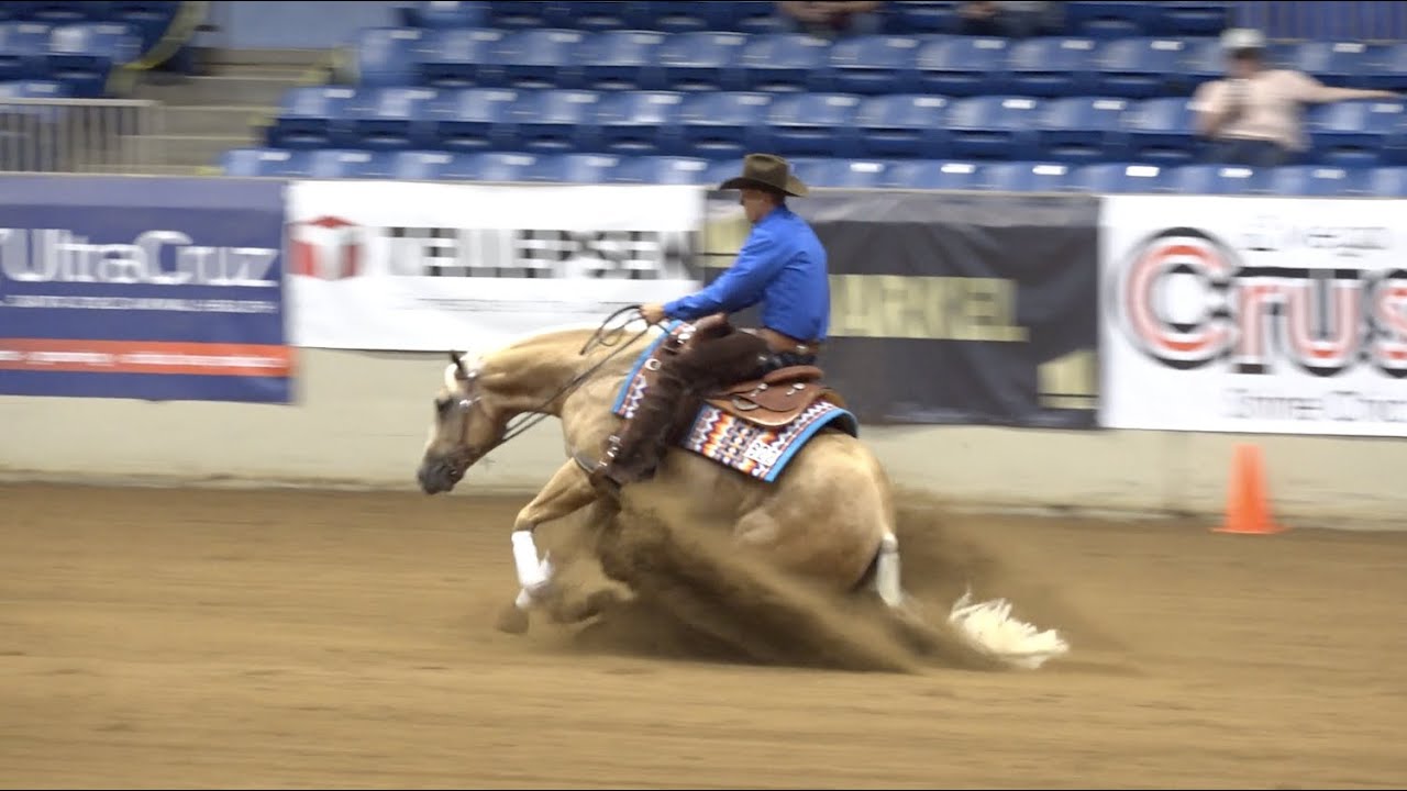 Level 1 Hollywoodstinseltown Open Futurity Co-Champion - YouTube
