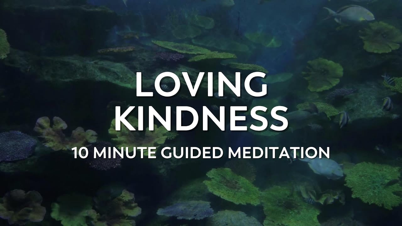 Loving Kindness | 10 Minute Guided Meditation - YouTube