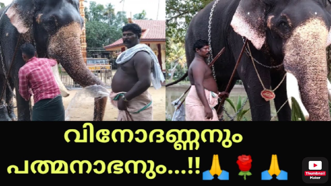 Moothakunnam Padmanabhan l വിനോദണ്ണനും പത്മനാഭനും....!!🙏🌹🙏 - YouTube