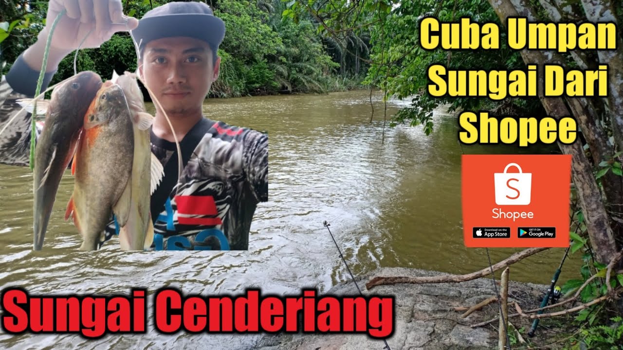 Strike Pacu & Baung Fish (Catch Clean & Cook) Malaysian Recipes - YouTube