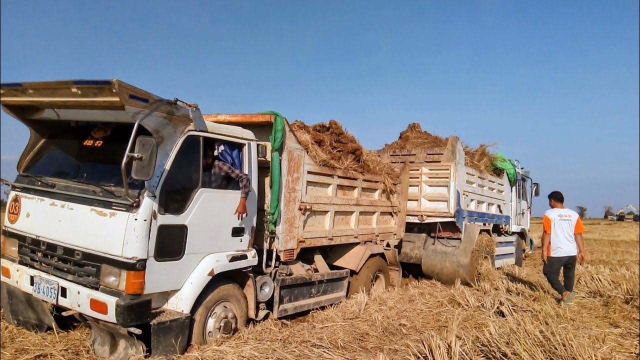 Dump Truck Stuck in Mud, Rescue Truck Also Gets Stuck! - YouTube