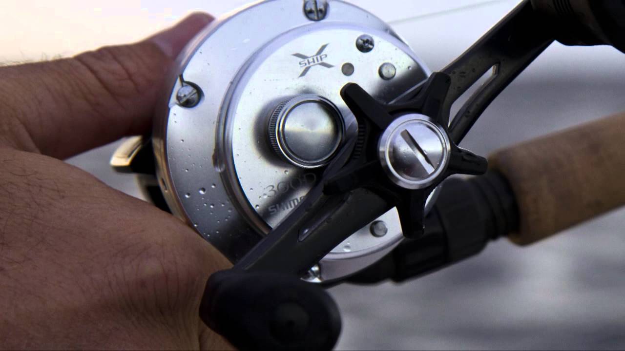 SHIMANO CALCUTTA - YouTube