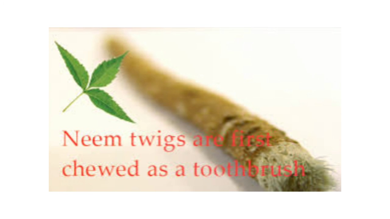 Neem twigs brush - YouTube