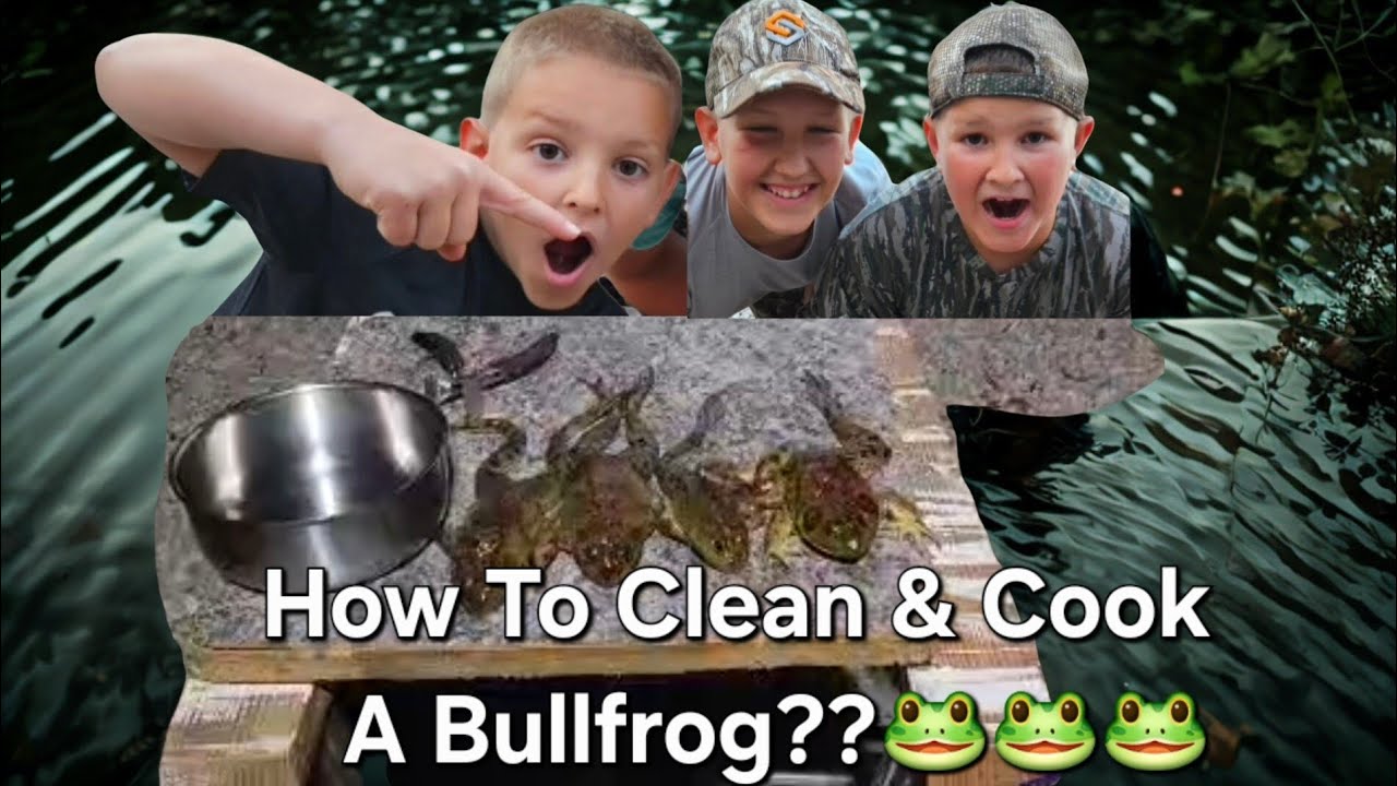 Caught A Bullfrog? NOW WHAT?? How To Clean & Cook It??🐸 - YouTube