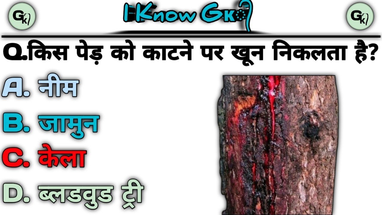 General Knowledge | Gk questions of general knowledge | New gk question | I know gk | Part- 16 ...