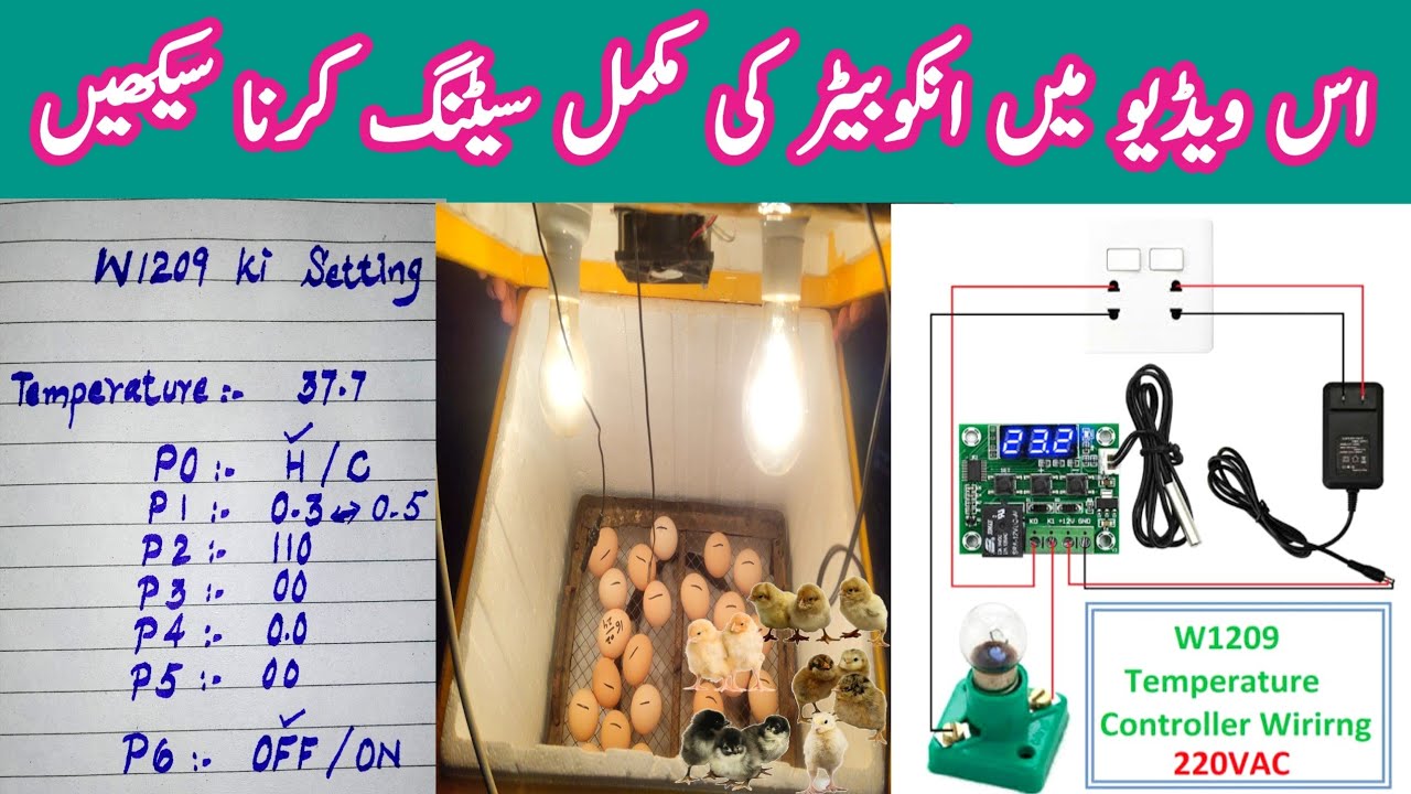 W1209 100% Best Temperature Setting For Egg Incubator /Temperature ...