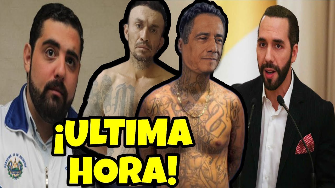 GERARDO AWAD IMPARABLE CON MARIO VEGA+MIRA DE DONDE SACARON ESTE ...