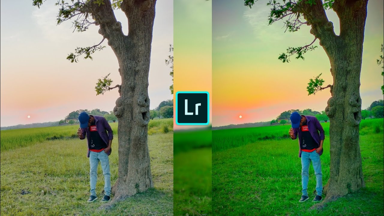 Natural green and sunset lightroom mobile photo editing | lightroom editing tutorial | preset ...