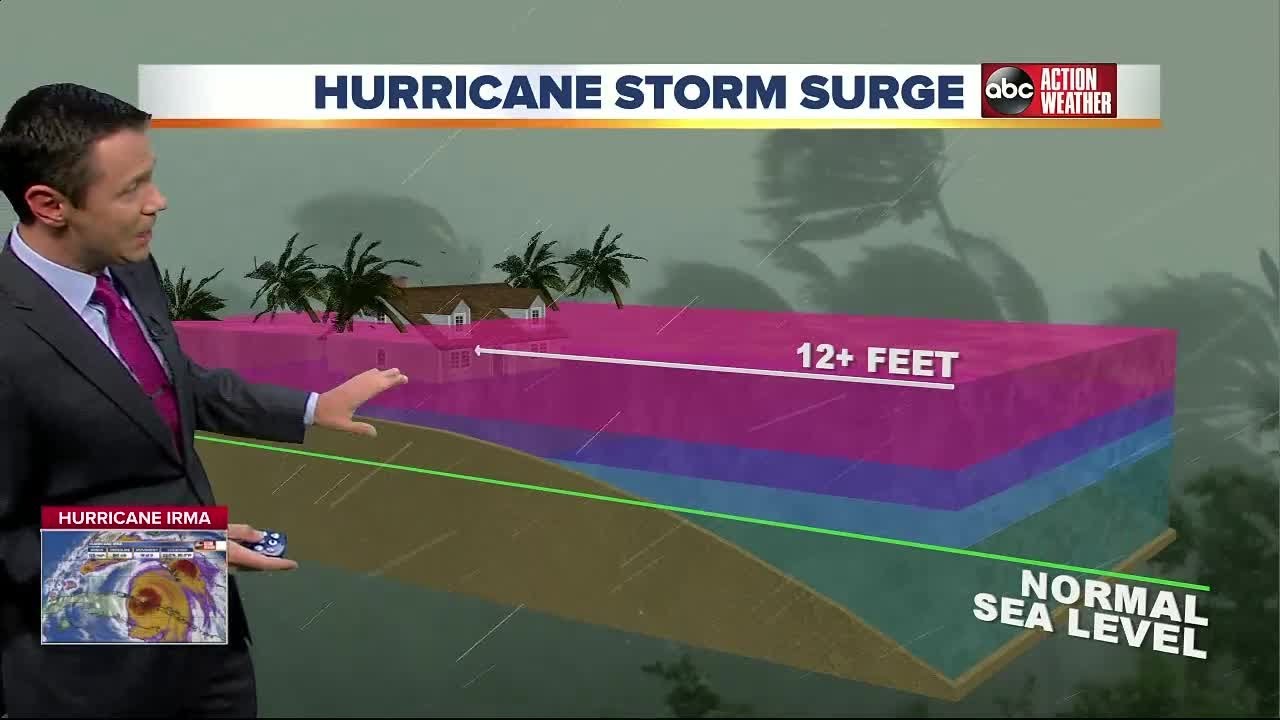 Greg Dee talks about storm surges in Tampa Bay - YouTube