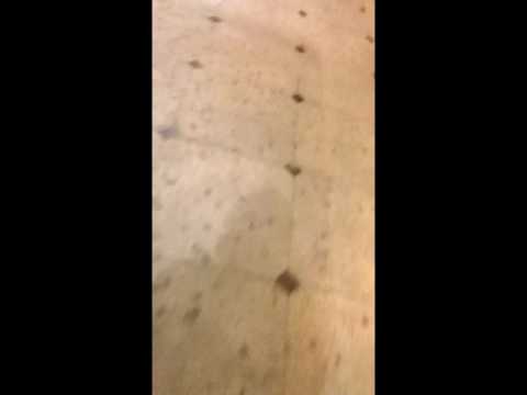 Baki Geceleri  (27.04.2017)