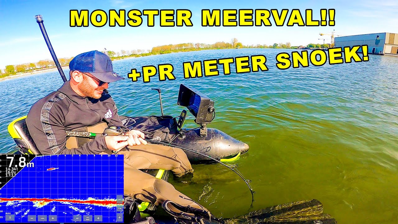MEGA MEERVAL IN NEDERLAND!! (2x NIEUW PR) - YouTube
