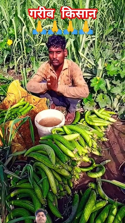 #funny #kishan #comedy #123kishan #farming #agriculture #farmer #voiceeffects #kisan #duet # ...