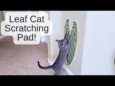 Norvianic Leaf-Patterned Sisal Cat Scratching Mat: Wall/Floor Review [2026]