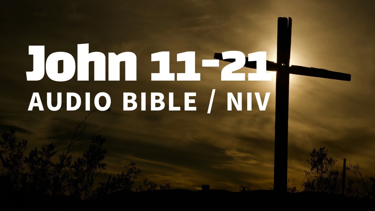 John 11 ~ 21 l 66 Bible readings l Audio Bible l With subtitles l With ...