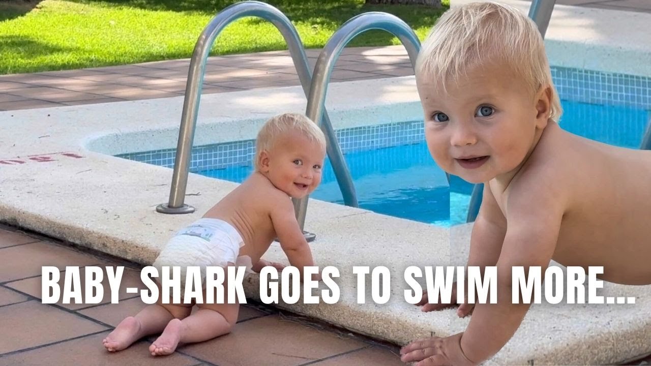 Baby Shark goes to swim more in a pool | Baby Lika - YouTube