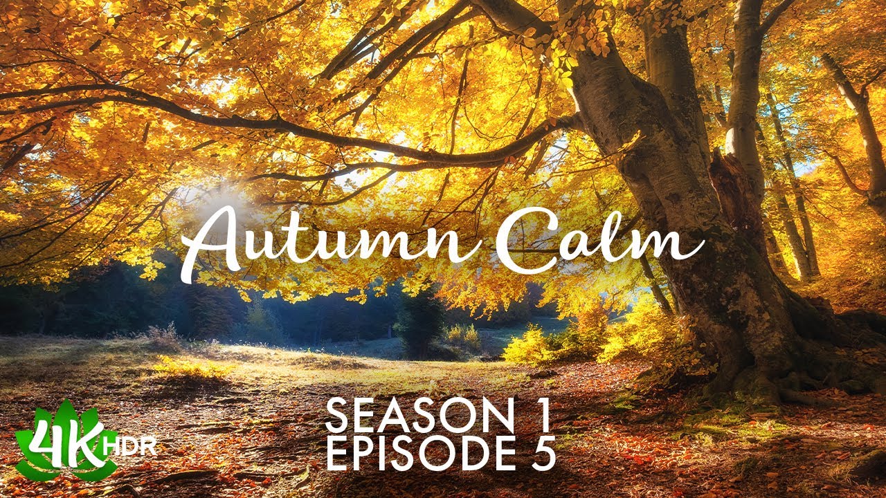Relax & Reset with Autumn Colors | Guided 4K HDR Journey + Calming ...