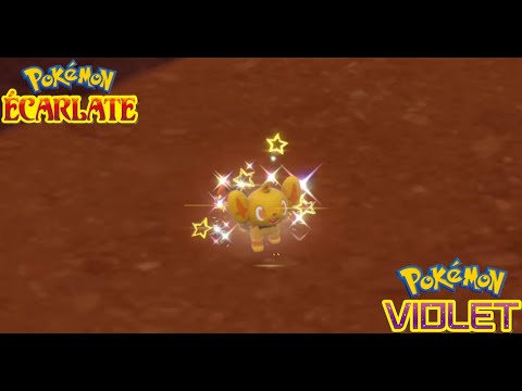 SHINY Shinx on Pokémon : Violet / Scarlet !! Violet / Ecarlate - YouTube