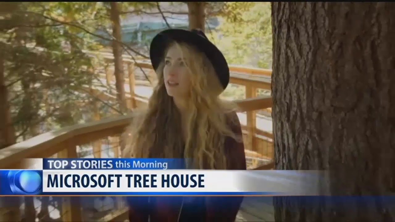 Microsoft creates treehouse meeting space - YouTube