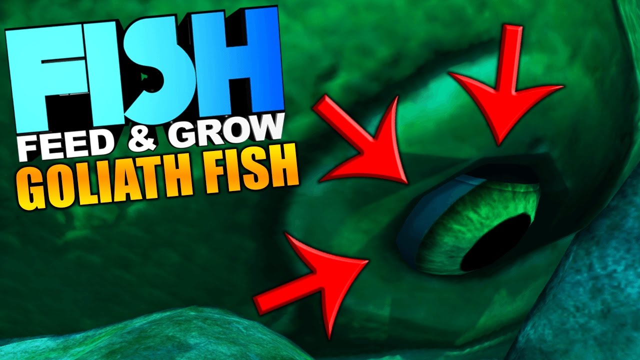 Feed And Grow Fish - GOLIATH FISH CONSUMES THE WORLD, GOLIATH ...