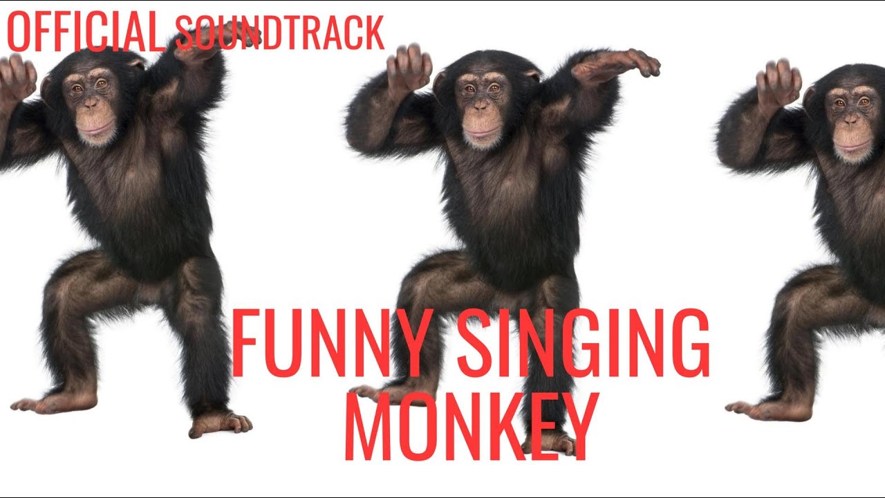 FUNNY SINGING MONKEY - YouTube