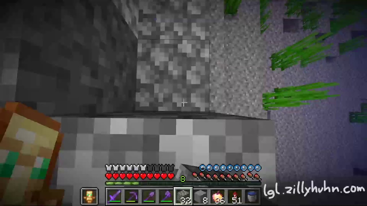 Minecraft anarchy - Aufstand oder Aussterben? Ein Vortrag über die Klimakrise - YouTube