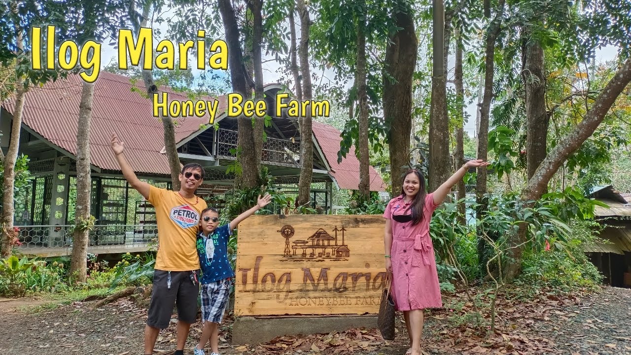Ilog Maria honeybee farm | Silang Cavite - YouTube