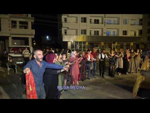 Iğdır güzel halayı @musa_medya  0544 2903200
