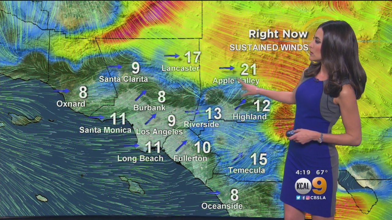 Danielle Gersh's Weather Forecast (April 3) - YouTube