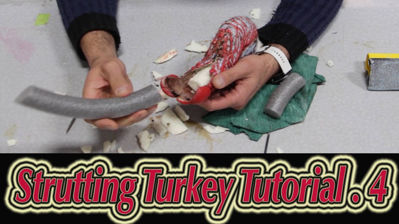 Strut Turkey Taxidermy Tutorial... Part 4: Working on the Freeze dried head. - YouTube