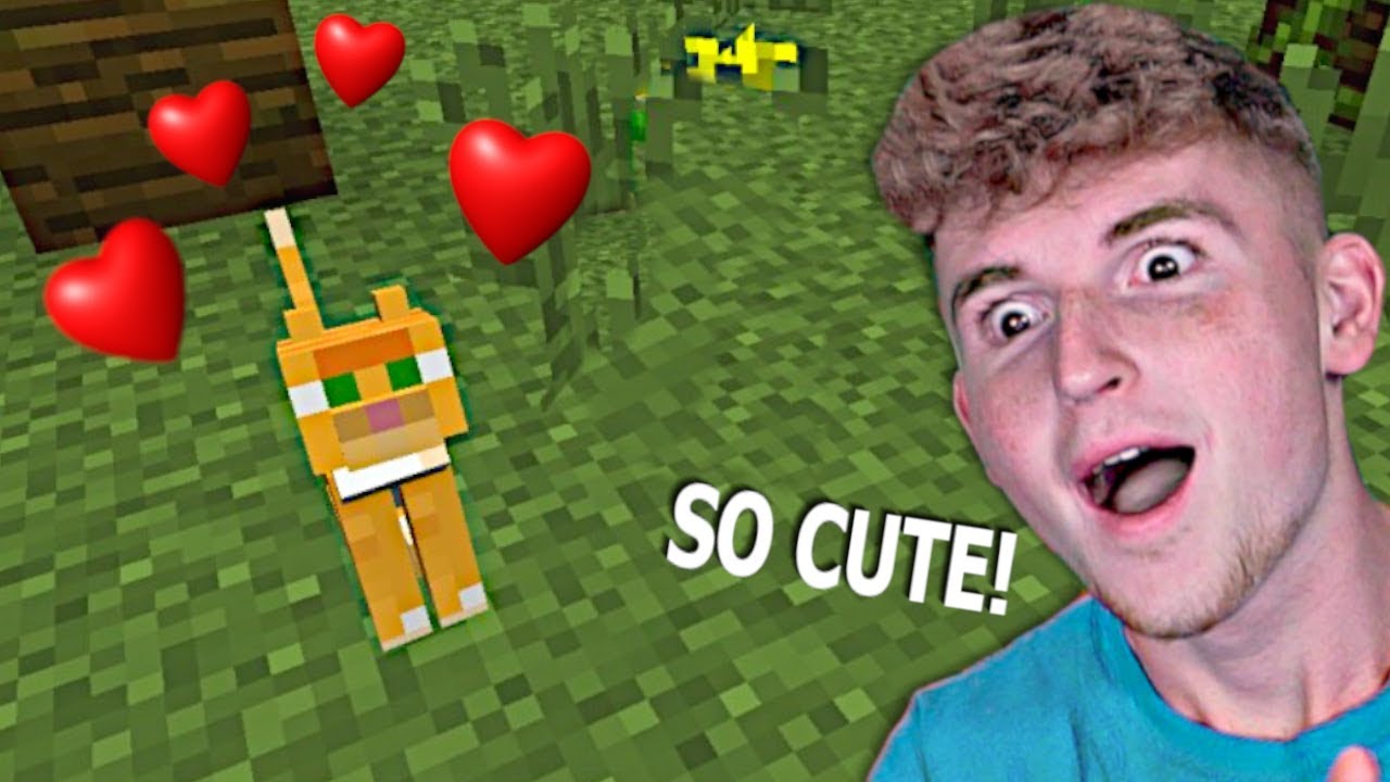 I Found A KITTEN In Minecraft!! (Cutest EVER) - YouTube