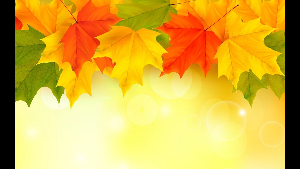 A Short Q & A with Aboo Qaylah Rasheed Barbee - YouTube