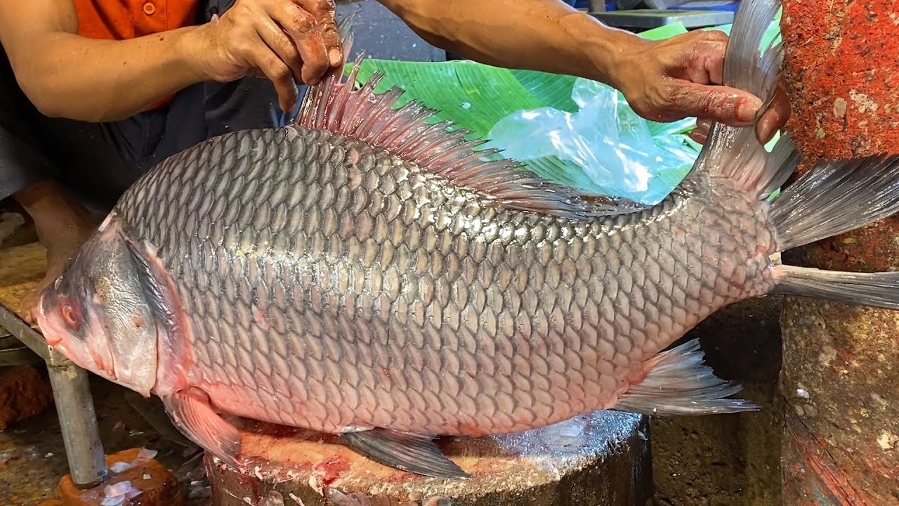 Amazing Live Giant Catla Fish Cutting In Bangladesh Fish Market | Big ...