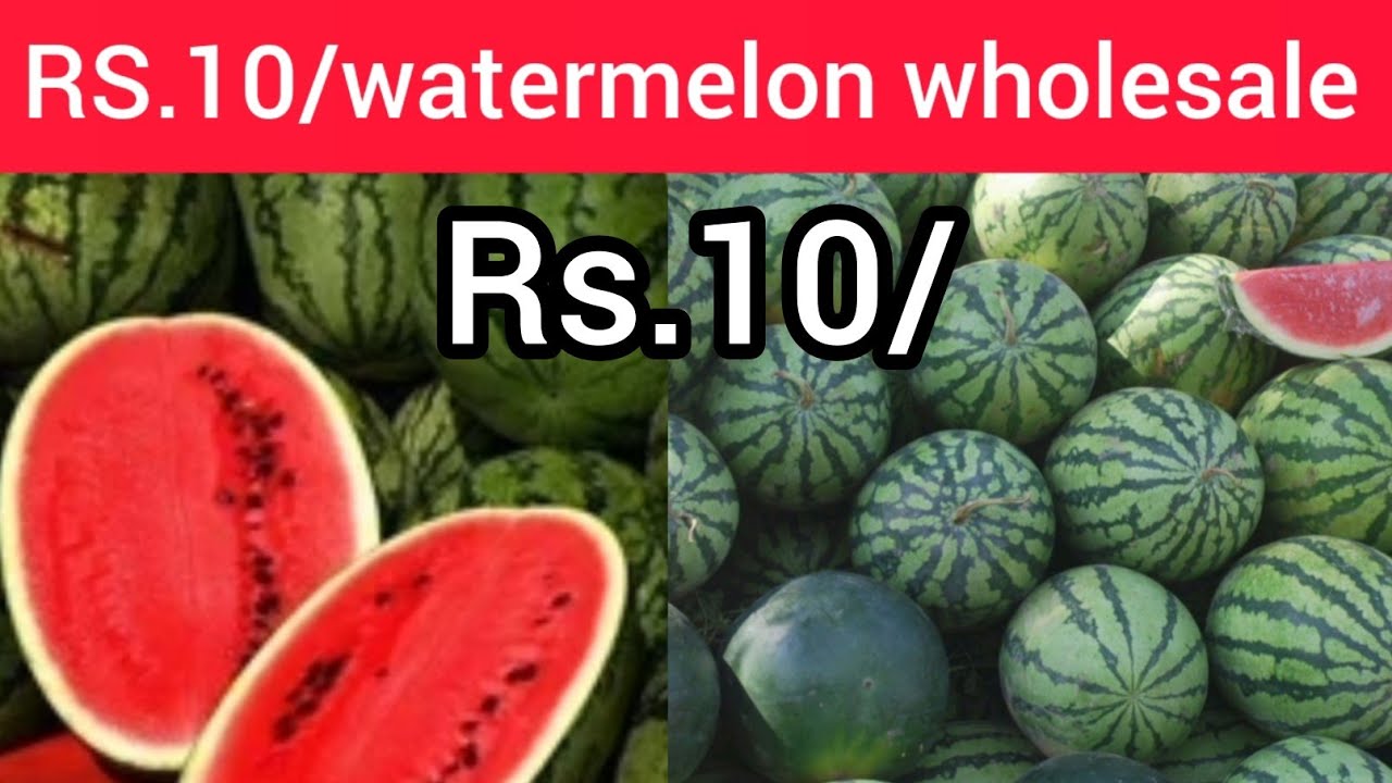🍉🍉watermelon market price today || tarbuj mandi || fruit wholesale ...